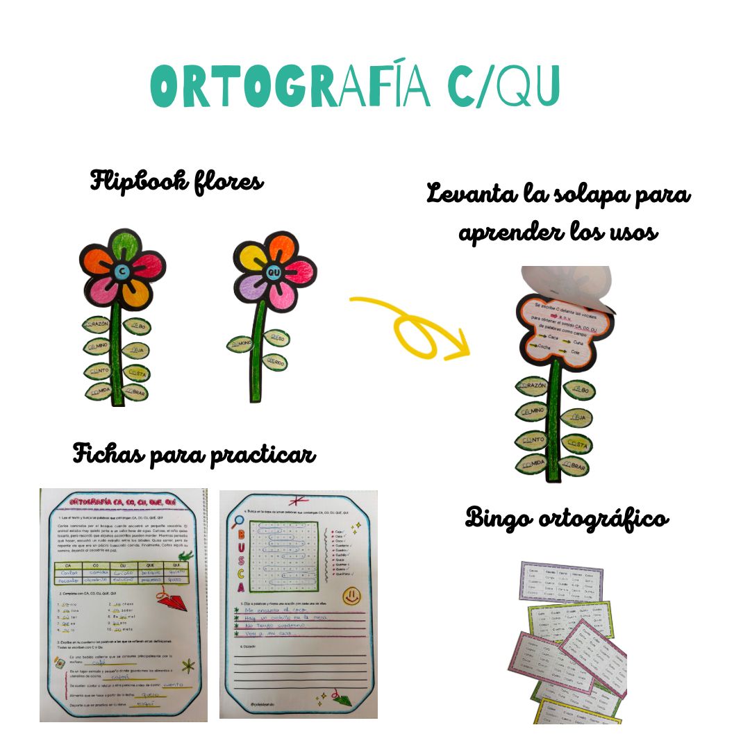 🌻ORTOGRAFÍA C/QU🌻 – Coleideando - Recursos